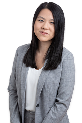 Our Legal Team - Samfiru Tumarkin LLP